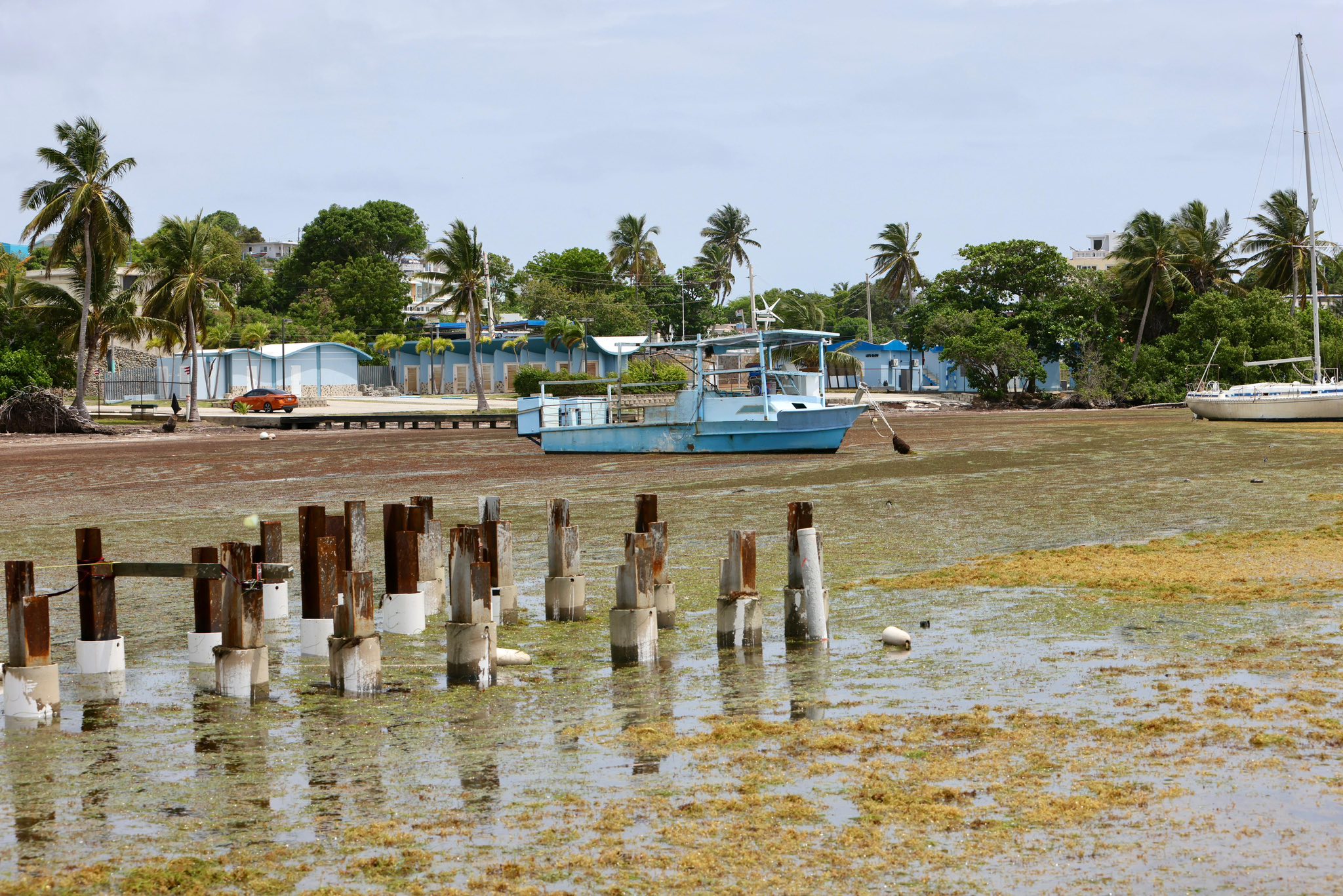 Descubre la playa más hermosa de América Latina según expertos ...